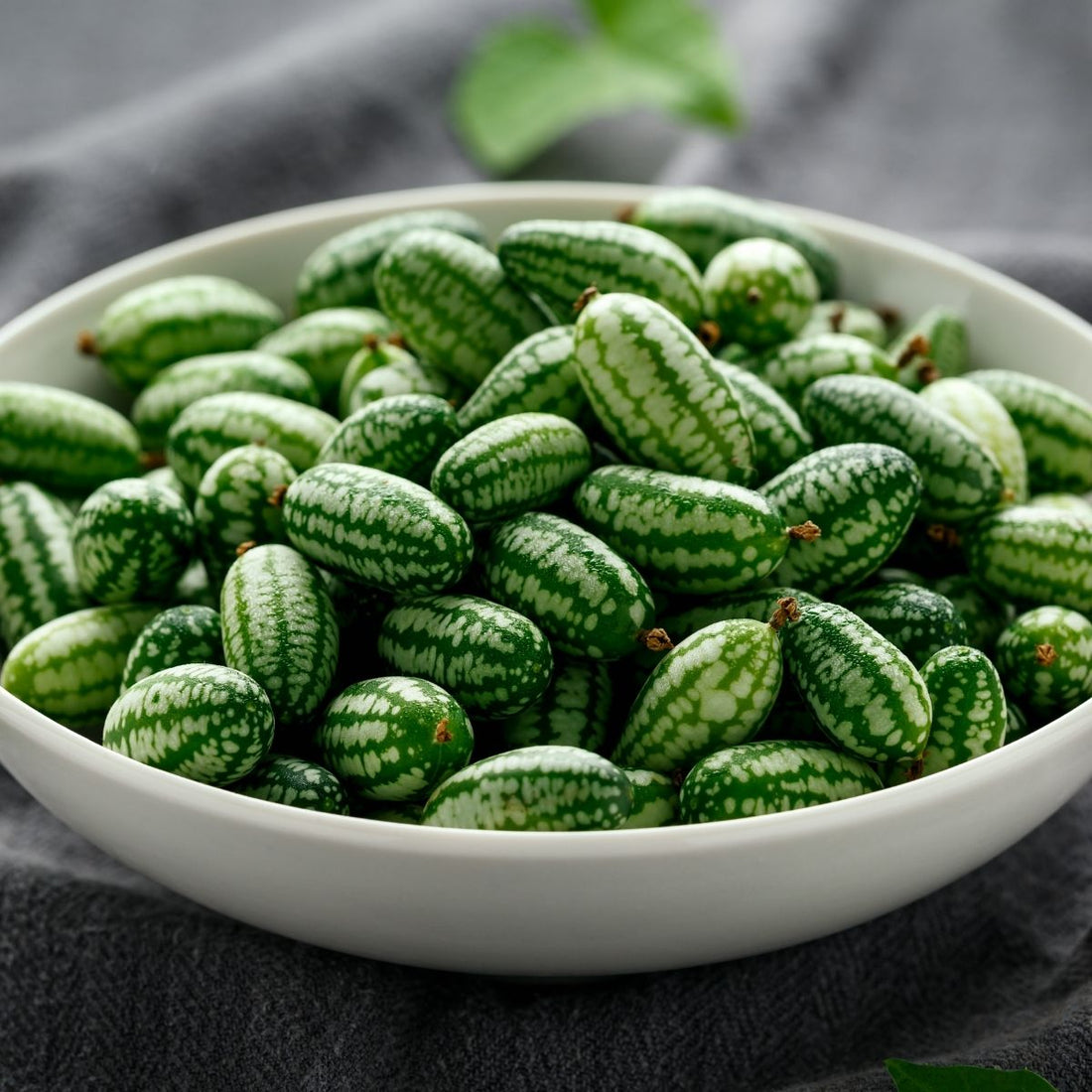 Cucamelon Seeds - Easy to Grow Variety – Mooseseeds